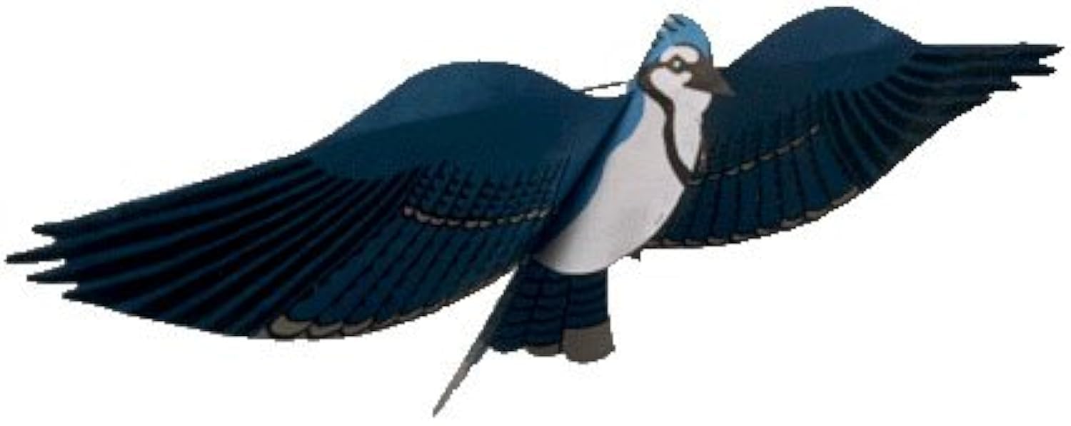 Jackite Bird Kites Flying Jackite Loon Assembly Instruction