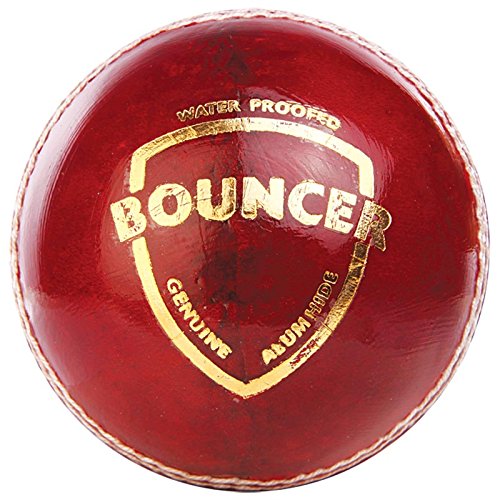 SG Bouncer Leather Balls (Pack of 12), : Amazon.in: Sports, Fitness ...