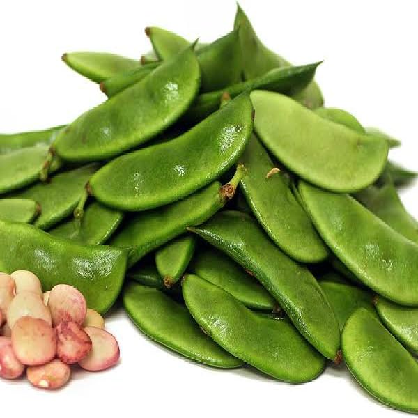 50 PICS PACK LIMA BEANS SEEDS/SEM VEGETABLE BIG HYBRID ORGANIC : Amazon ...