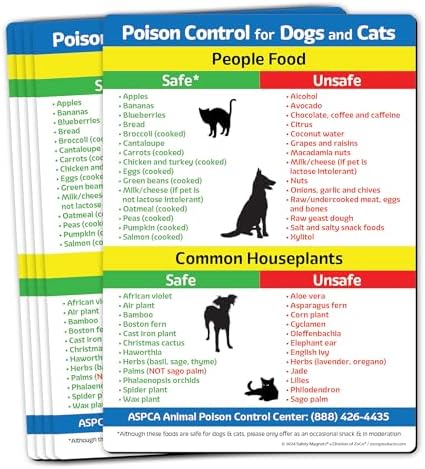 Amazon.com: Food Dogs Shouldn’t Eat Magnet | List of Toxic and Safe ...