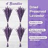 Amazon.com: 4 Packs Dried Preserved Lavender Flowers Bundle, Natural ...