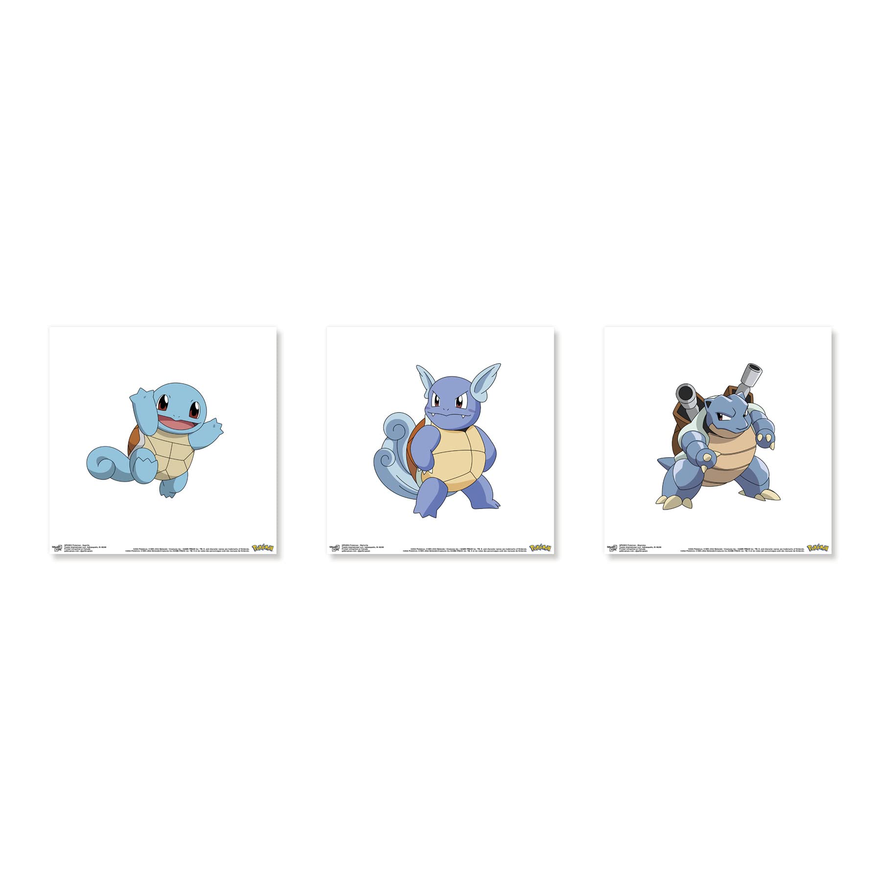 Squirtle Evolution Names Buffalo Games Pokemon Squirtle Evolution
