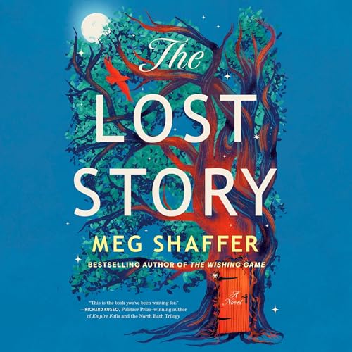 Amazon.com: The Lost Story: A Novel (Audible Audio Edition): Meg ...