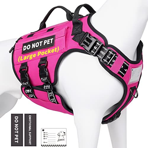 Dog Harness with Pockets – The 15 best products compared - Wild Explained