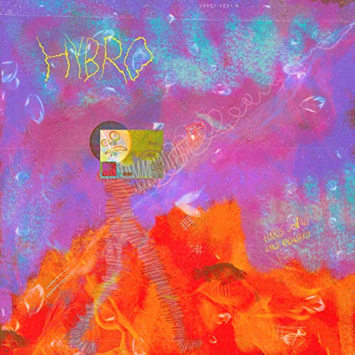 Amazon Music Unlimited - Haris Jonuzi & Erald Radashku 『Hybro』