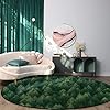 Amazon.com: Green Forest Tree Area Rug Round Rugs 4ft, Nature ...