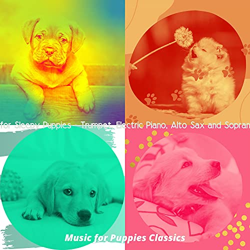 Amazon MusicでMusic for Puppies ClassicsのMusic for Sleepy Puppies ...