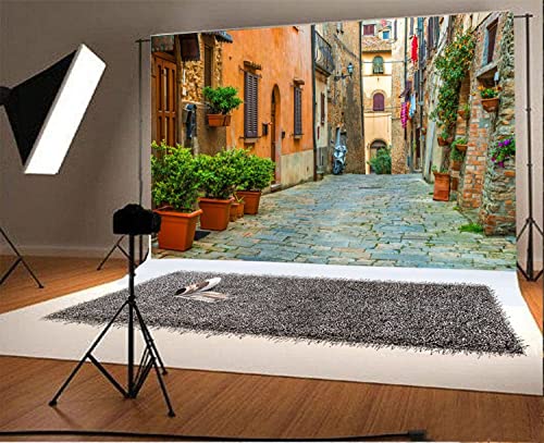 Renaiss 10x8ft Italy Alley Backdrop European Building Scene Photography ...