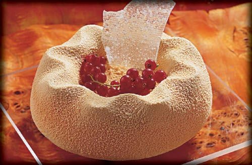 Amazon.com: Semifreddo Assembly Mold, 2-Piece Set : Home & Kitchen