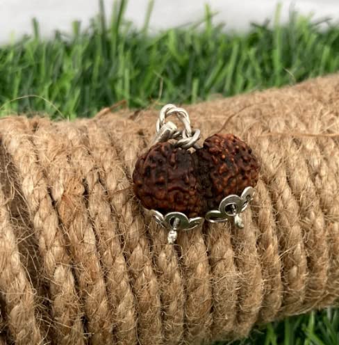 All Stone Nepali Gauri Shankar Rudraksha Original Certified ...