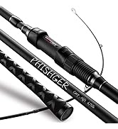 Amazon.com : Raptor Saltwater Fishing Rod 6 Foot Spinning Casting 2 ...