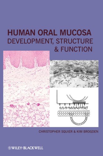Human Oral Mucosa: Development, Structure and Function eBook : Squier ...