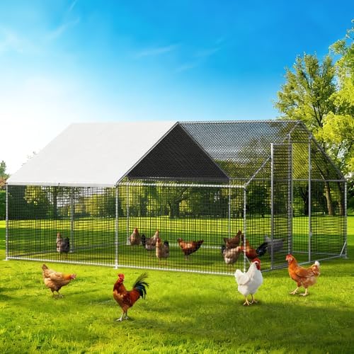 Amazon.com: Large Walk-in Chicken Coop with Chicken Run, Galvanized ...