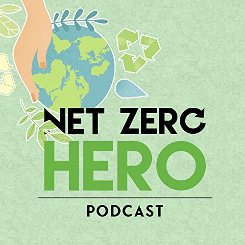 Net Zero Hero : Net Zero Professional: Amazon.in: Books
