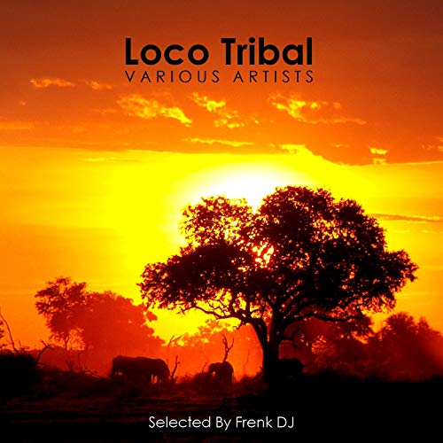 Amazon MusicでVARIOUS ARTISTSのLoco Tribal (Selected By Frenk DJ)を再生する