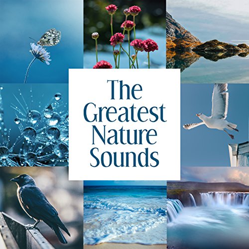 Play The Greatest Nature Sounds: Relaxation Ambient Music, Healing Rain ...