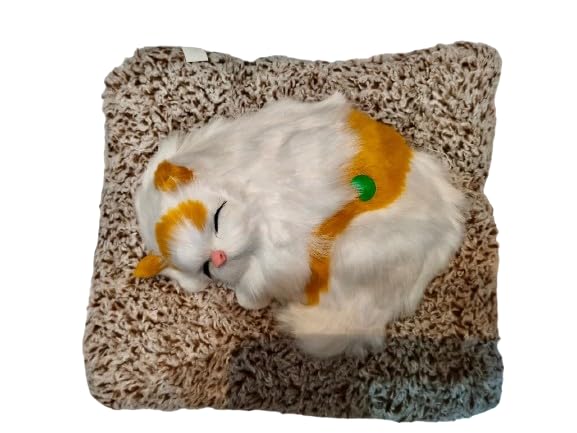Buy TREK TOYS WORLD Sleeping Cat Plush Toy with Press Simulation Sound ...
