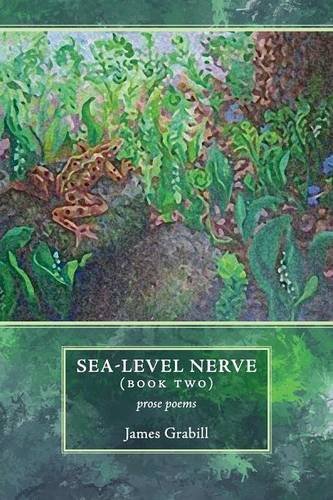 Sea-Level Nerve: Book Two: Amazon.co.uk: Grabill, James: 9781877655906 ...