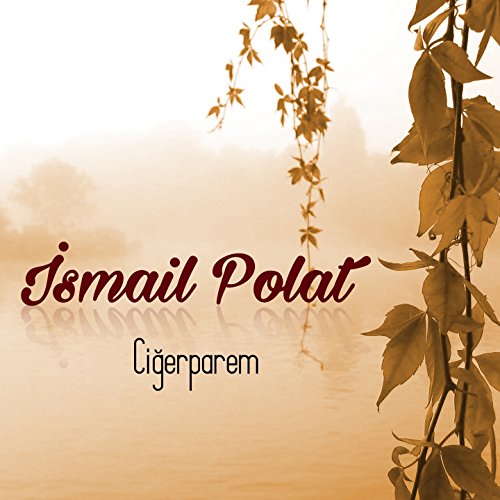 Play Ciğerparem by İsmail Polat on Amazon Music