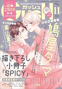 GUSH 2024年11月号 | BL電子コミック 発売日なら予定表.com BL