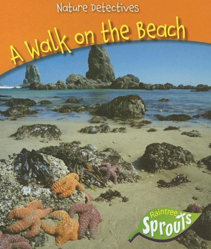 A Walk on the Beach (Nature Detectives): Amazon.co.uk: Waters, Jo ...