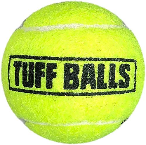 Buy Petsport Jr. Tuff Balls Dog Toy, 2 Pack Online at Low Prices in ...
