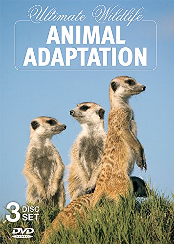 Animal Adaptation [USA] [DVD]: Amazon.es: Películas y TV