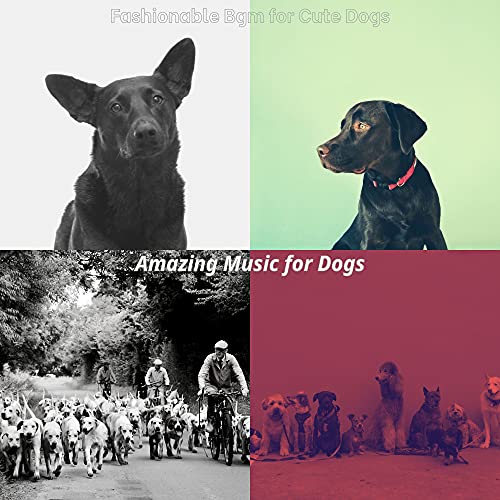 Amazon Music - Amazing Music for DogsのFashionable Bgm for Cute Dogs ...