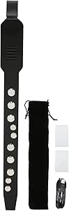 Mini Digital Wind Instrument, MIDI Connectivity 10 Tones Rechargeable ...