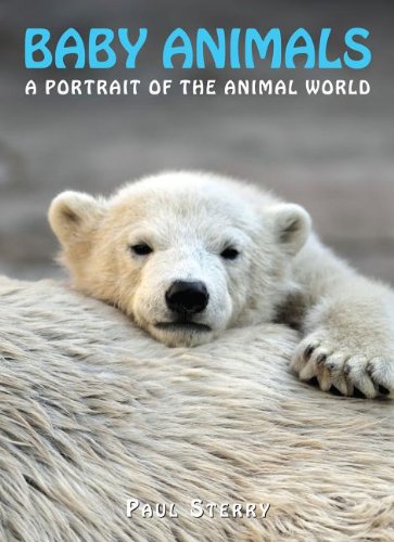 Baby Animals (A Portrait of the Animal World): Sterry, Paul ...