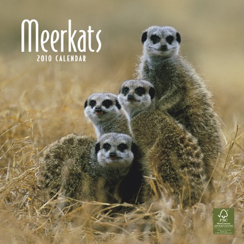 Meerkat Madness 2010 Calendar : Browntrout Publishers: Amazon.co.uk: Books