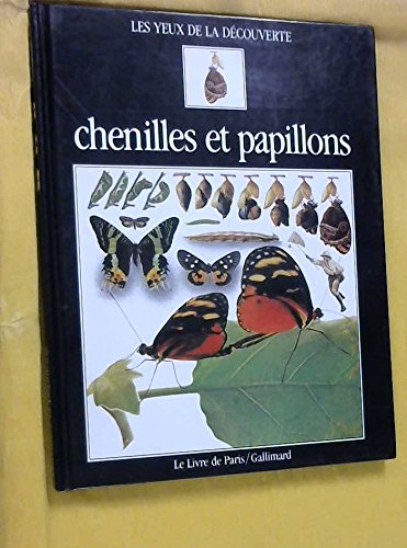 De la chenille au papillon. | Amazon.com.br