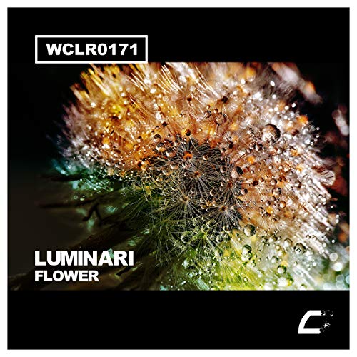 Flower (Extended Mix) by Luminari on Amazon Music - Amazon.com