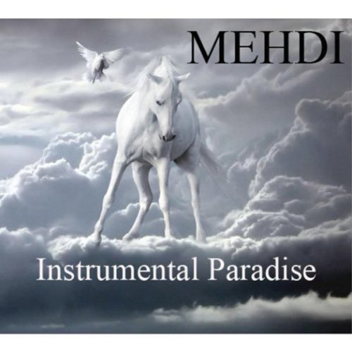 Amazon.com: Instrumental Paradise Volume 8 : MEHDI: Digital Music