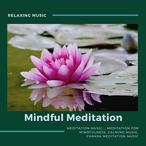 Play Mindful Meditation (Meditation For Mindfulness, Meditation Music ...