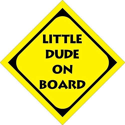 Little Dude on Board Sign/Sticker for Cars | Interior Sticker. : Amazon ...