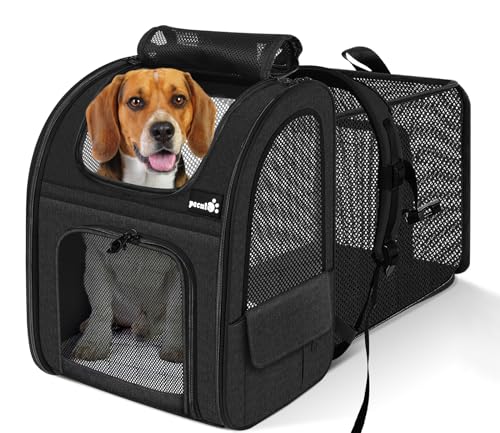 Hund mit Rucksack – Die 15 besten Produkte im Vergleich ...