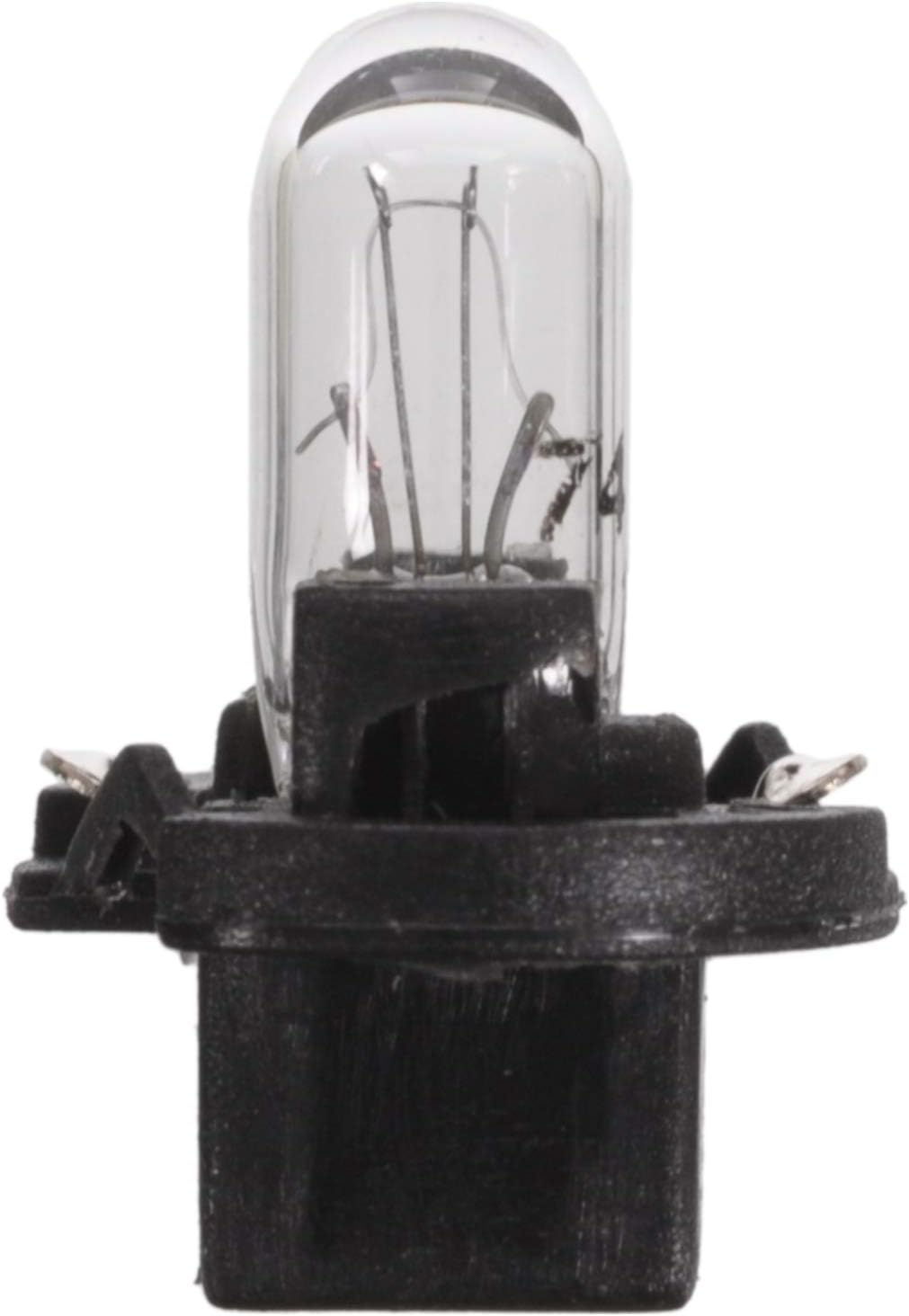 Amazon.com: Wagner Lighting BP90 Standard Multi-Purpose Light Bulb Card ...