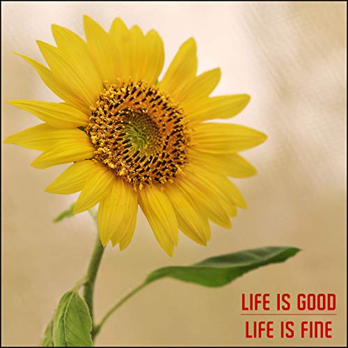 Play Life Is Good, Life Is Fine by David Wurst,Michael Fuller,Marshall ...