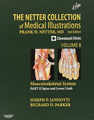 The Netter Collection of Medical Illustrations: Musculoskeletal System ...