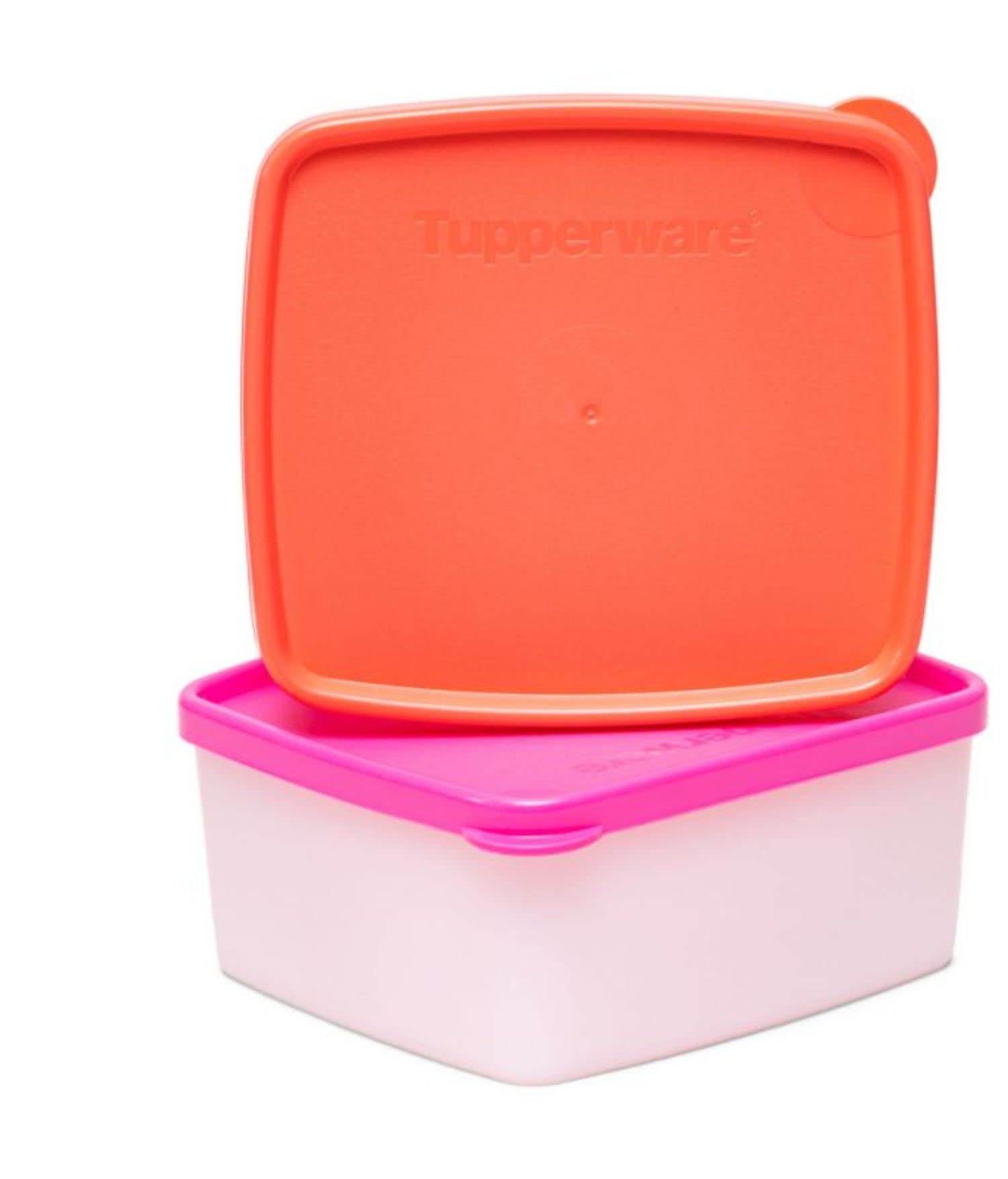 Tupperware Cool n Fresh Container 490ml (Set of 2) : Amazon.in: Home ...