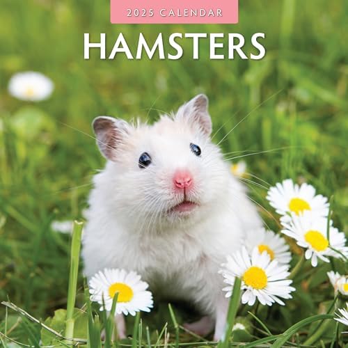 Amazon.com: Red Robin 2025 Pugs Monthly Wall Calendar | 12" x 24" Open ...