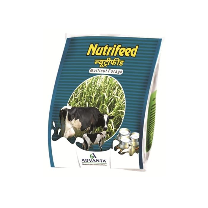 Buy ADVANTA Nutrifeed 1Kg, Multi-cut Perennial Hybrid Green/Hay Fodder ...