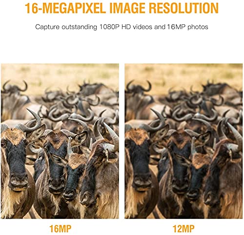 YTREW Product Guide: 5 Best Things to Buy from YTREW (June 2025 ...