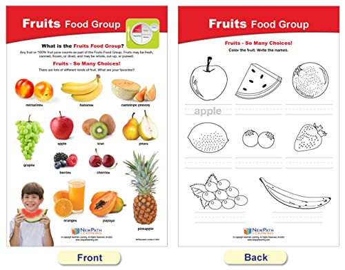 Snapklik.com : NewPath MyPlate - Food & Nutrition Bulletin Board Charts ...