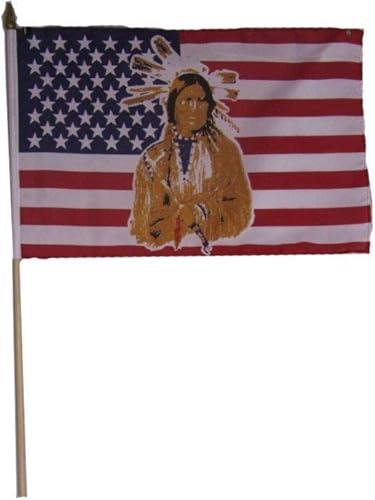 Deluxe 12x18 Lot 3 USA American Indian Native Chief Stick Flag wood ...