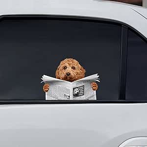 Amazon.com - generic Cavapoo Dog Sticker, Have You Read The News Today ...