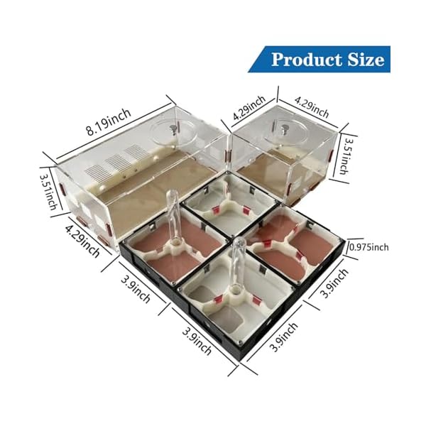 Ants Footsteps Ant Farm Nest Science DIY Terrarium Kit Care for Live ...