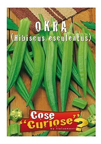 Ocra verdura esotica: come si cucina e proprietà