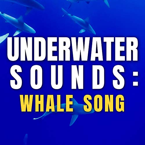 Play Underwater Sounds: Whale Song by Whale Sounds, Whale Sounds ...